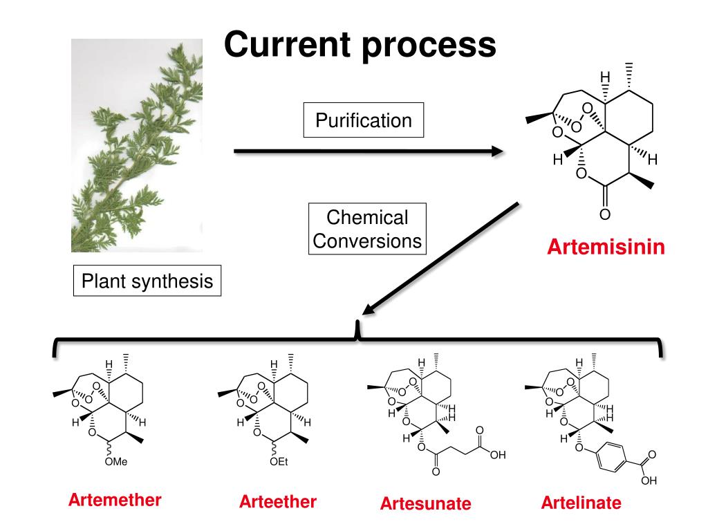 PPT - Synthetic Biology for Synthetic Drugs and Fuels PowerPoint ...