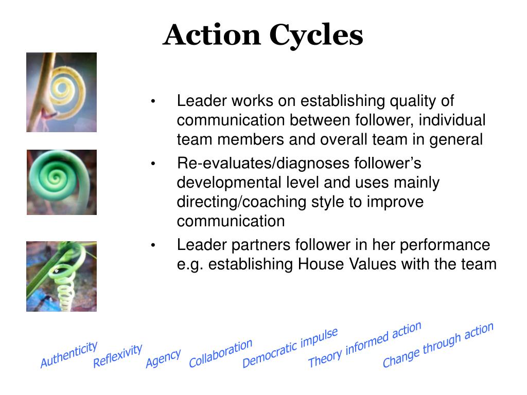 PPT - Leadership developments in nursing home settings: A person ...