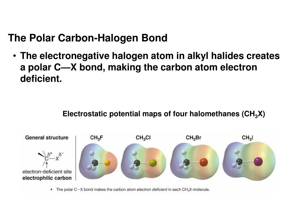 PPT - Alkyl halides are organic molecules containing a halogen atom ...