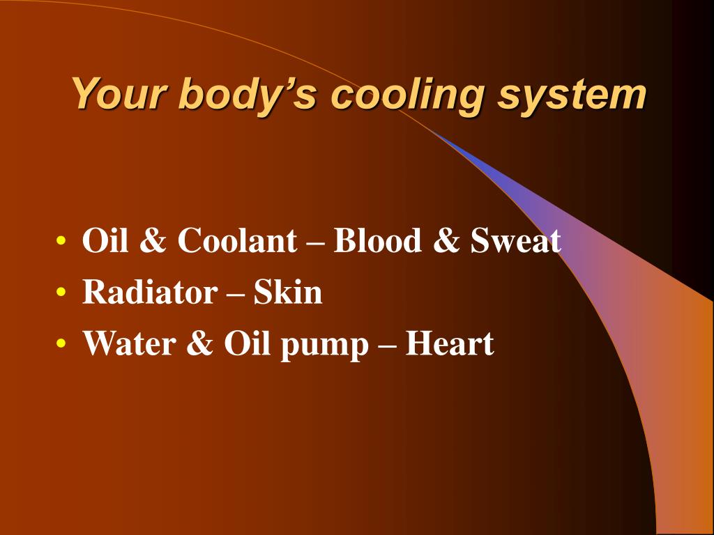 PPT - Trindel Insurance Fund Heat Illness Prevention & First Aid ...