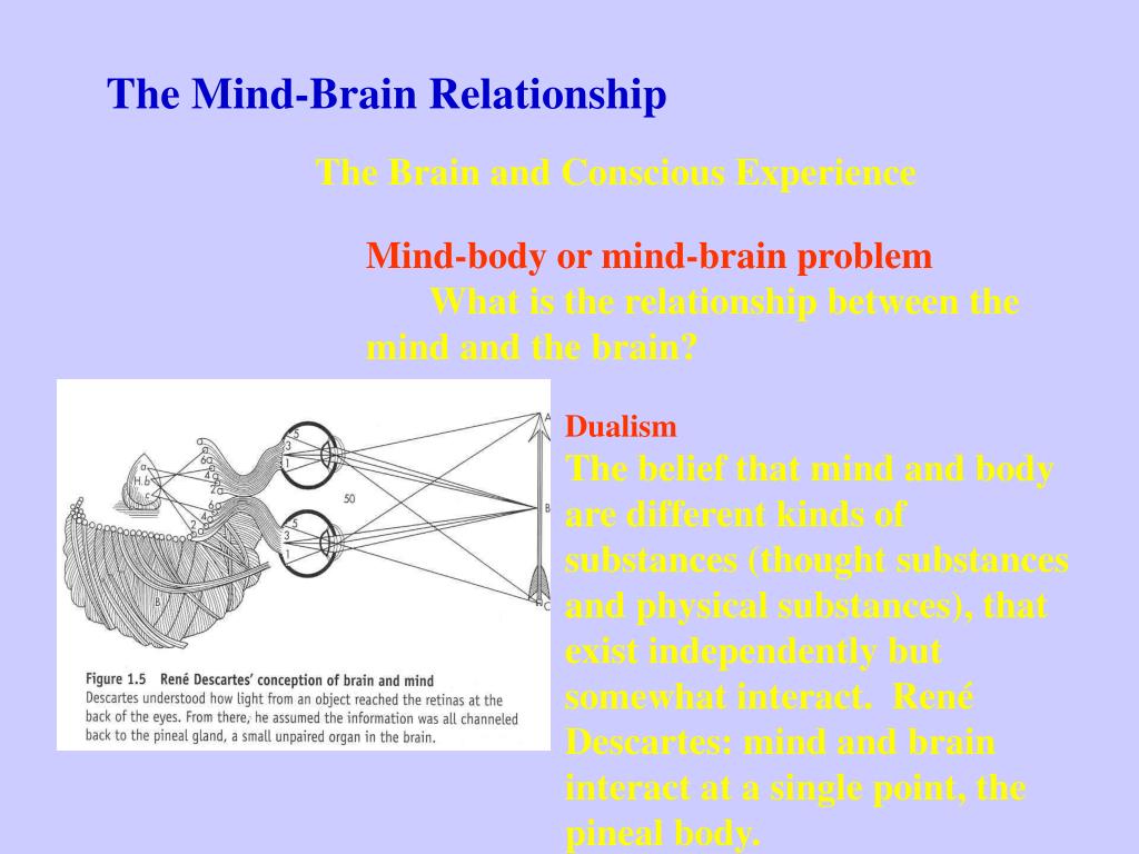PPT - RENE DESCARTES (1596-1650) PowerPoint Presentation, free download ...