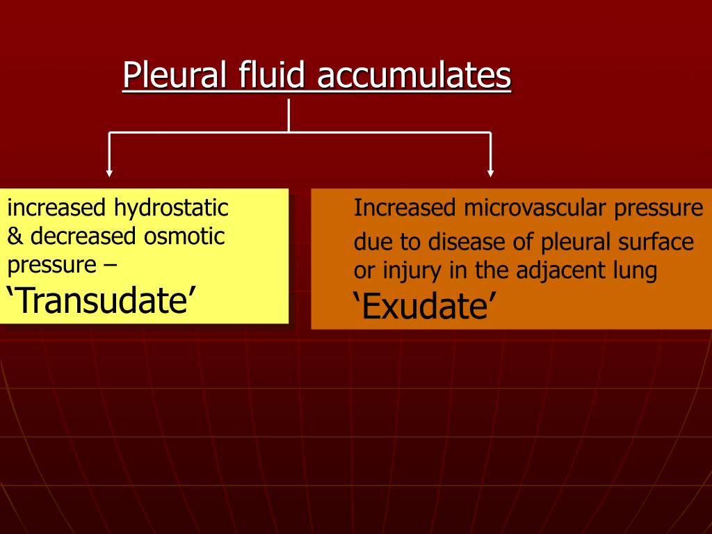 PPT - Diseases of Pleura PowerPoint Presentation, free download - ID ...