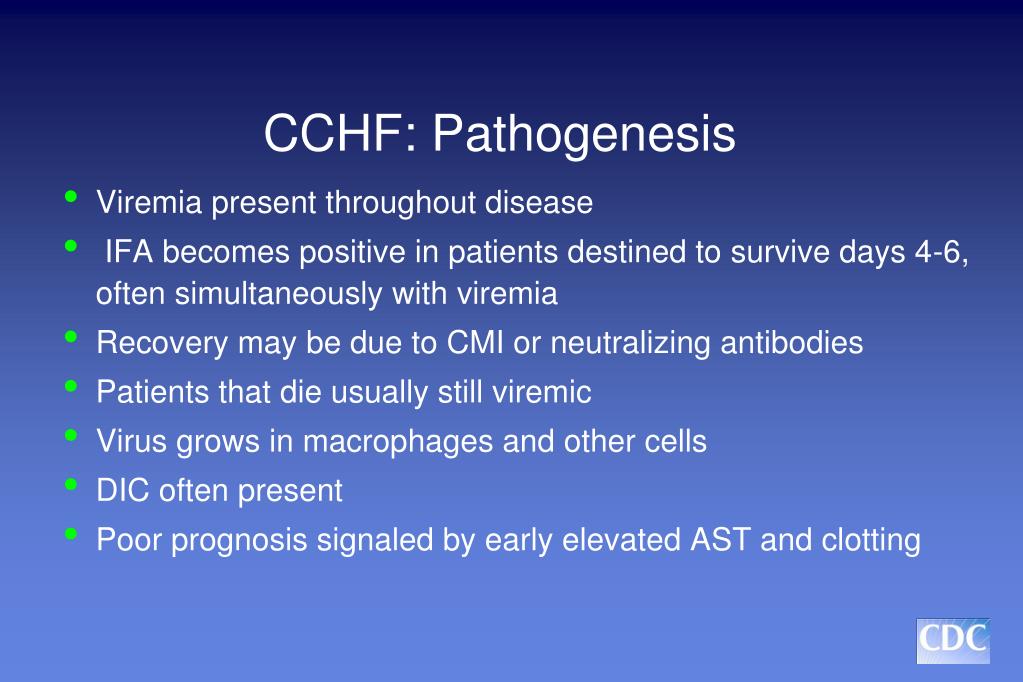PPT - Viral Hemorrhagic Fevers PowerPoint Presentation, free download ...