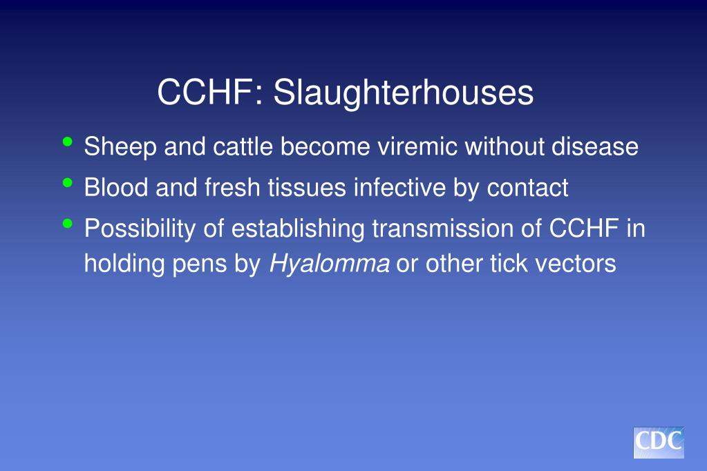 PPT - Viral Hemorrhagic Fevers PowerPoint Presentation, free download ...