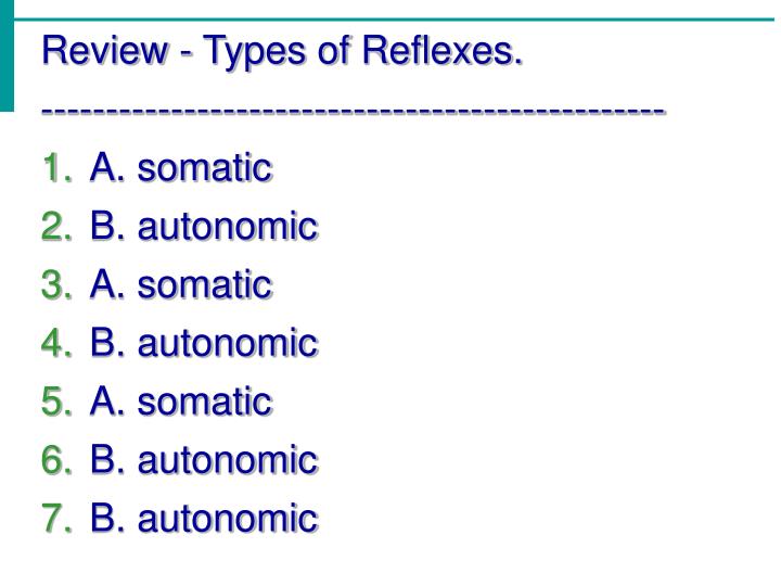 PPT - Reflex PowerPoint Presentation - ID:1801489