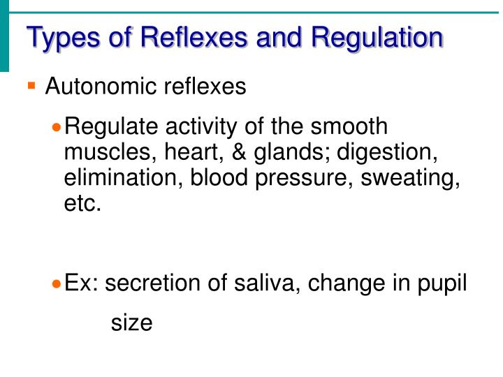 PPT - Reflex PowerPoint Presentation - ID:1801489