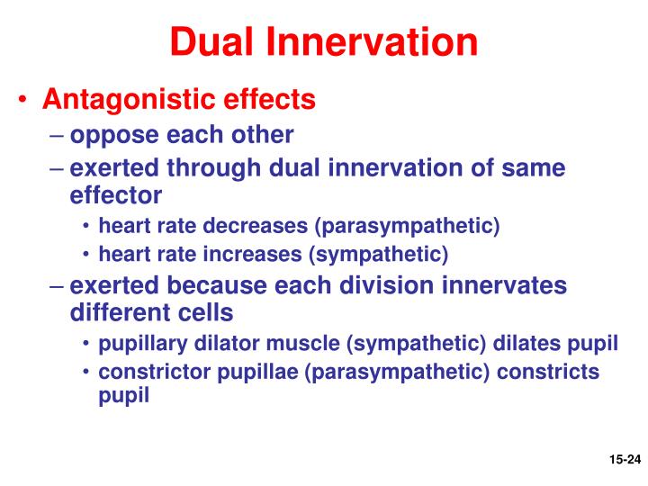 PPT - Human Anatomy & Physiology PowerPoint Presentation - ID:1801786
