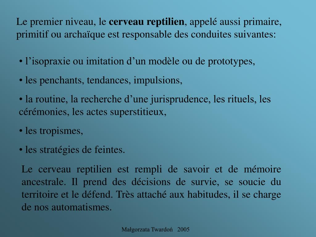 PPT - Entre deux hémisph è res et quatre cerveaux. PowerPoint ...