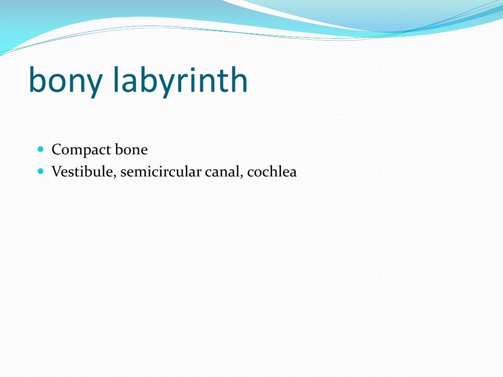 PPT - Clinical anatomy & physiology of the ear PowerPoint Presentation ...