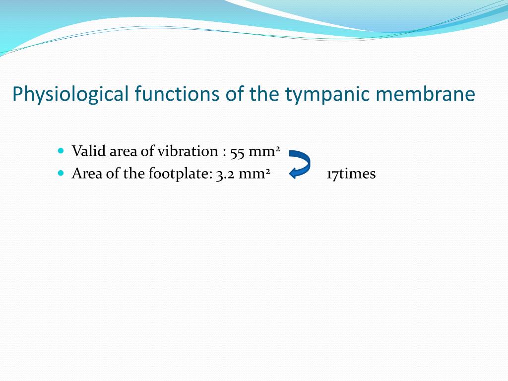 PPT - Clinical anatomy & physiology of the ear PowerPoint Presentation ...
