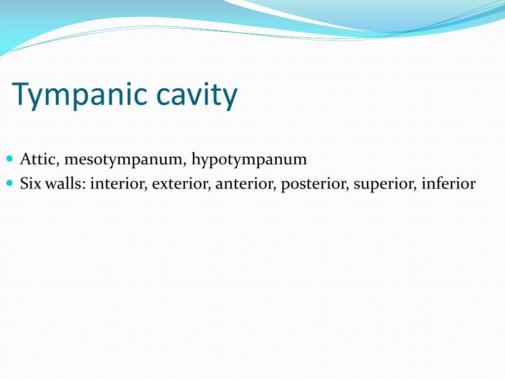 PPT - Clinical anatomy & physiology of the ear PowerPoint Presentation ...