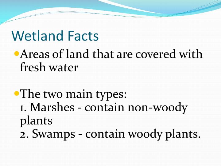PPT - Chapter 7: Aquatic Ecosystems PowerPoint Presentation - ID:1804298