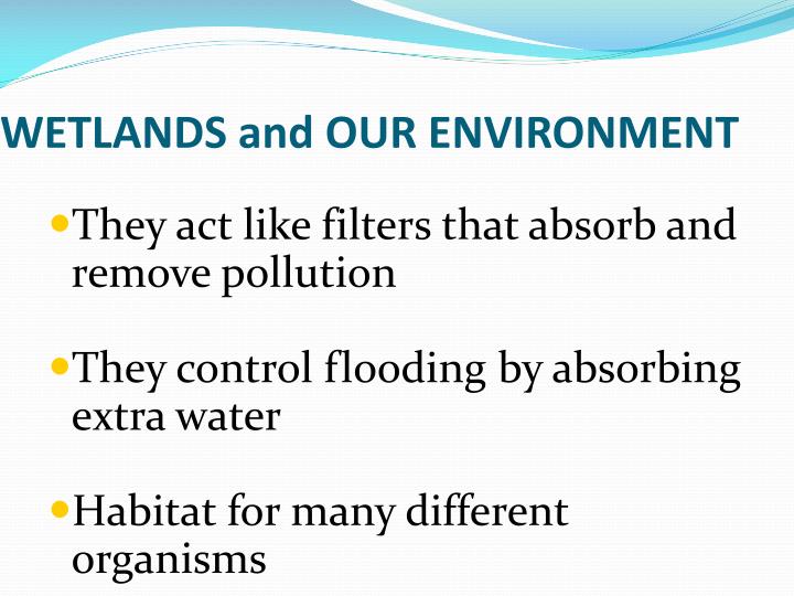 PPT - Chapter 7: Aquatic Ecosystems PowerPoint Presentation - ID:1804298