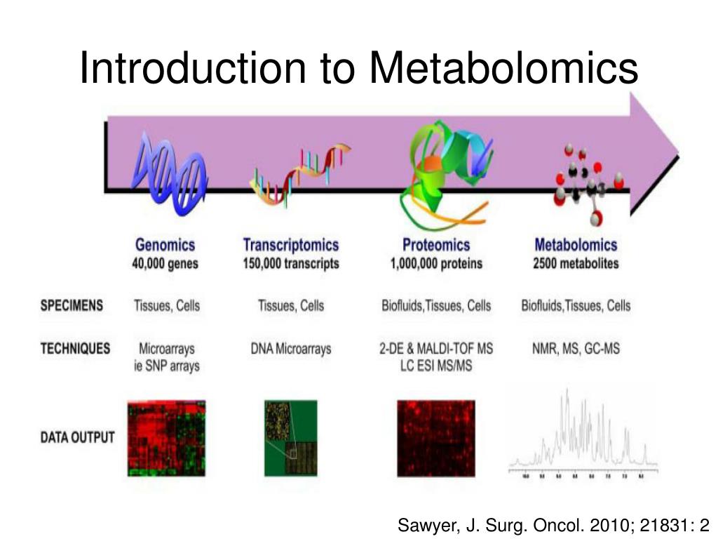 PPT - A Metabolomic Approach to the Identification of Cancer Biomarkers ...