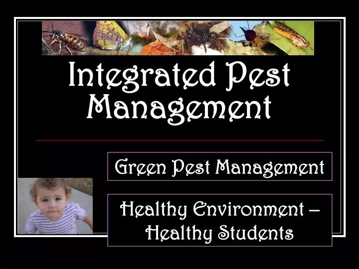 PPT - Integrated Pest Management PowerPoint Presentation, free download ...