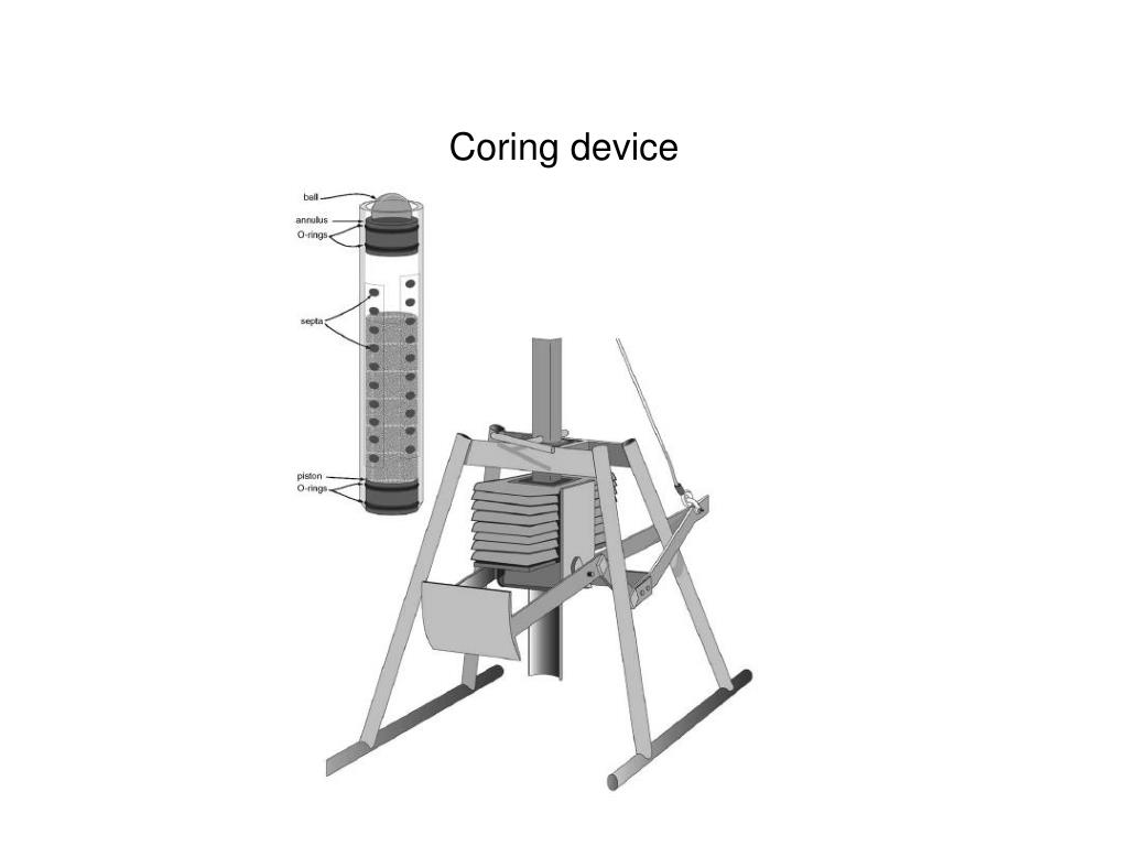 PPT - Shallow -water sediments: Early diagenesis in sandy sediments ...