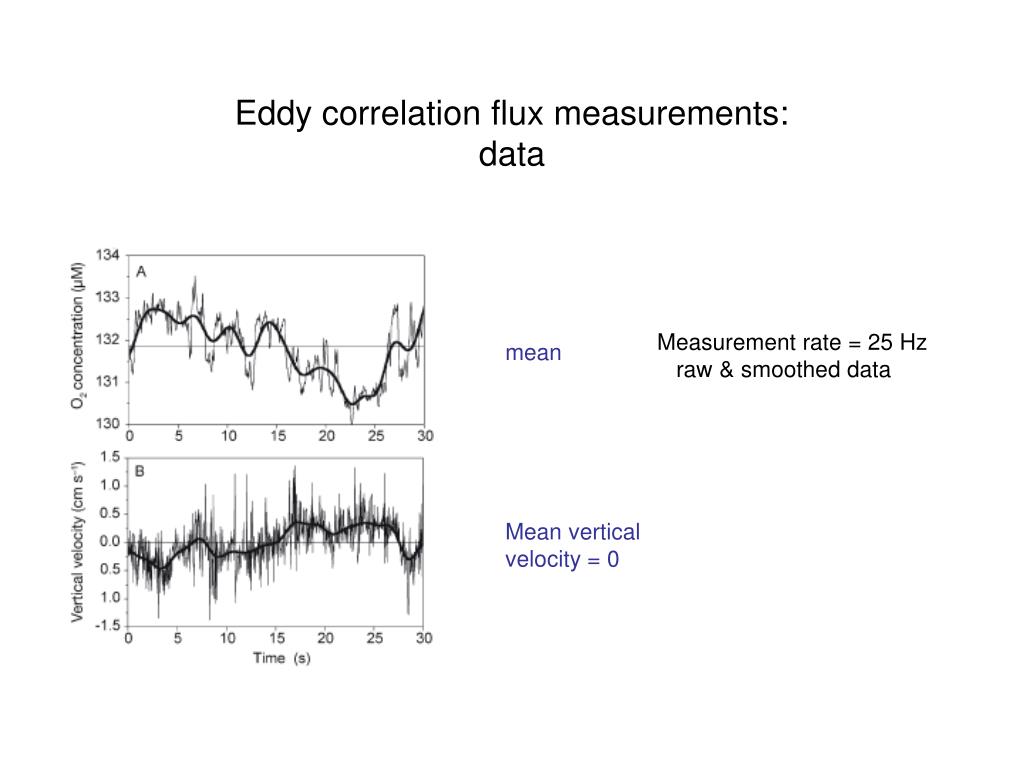 PPT - Shallow -water sediments: Early diagenesis in sandy sediments ...