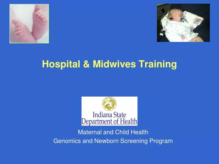 PPT - Hospital & Midwives Training PowerPoint Presentation, free ...