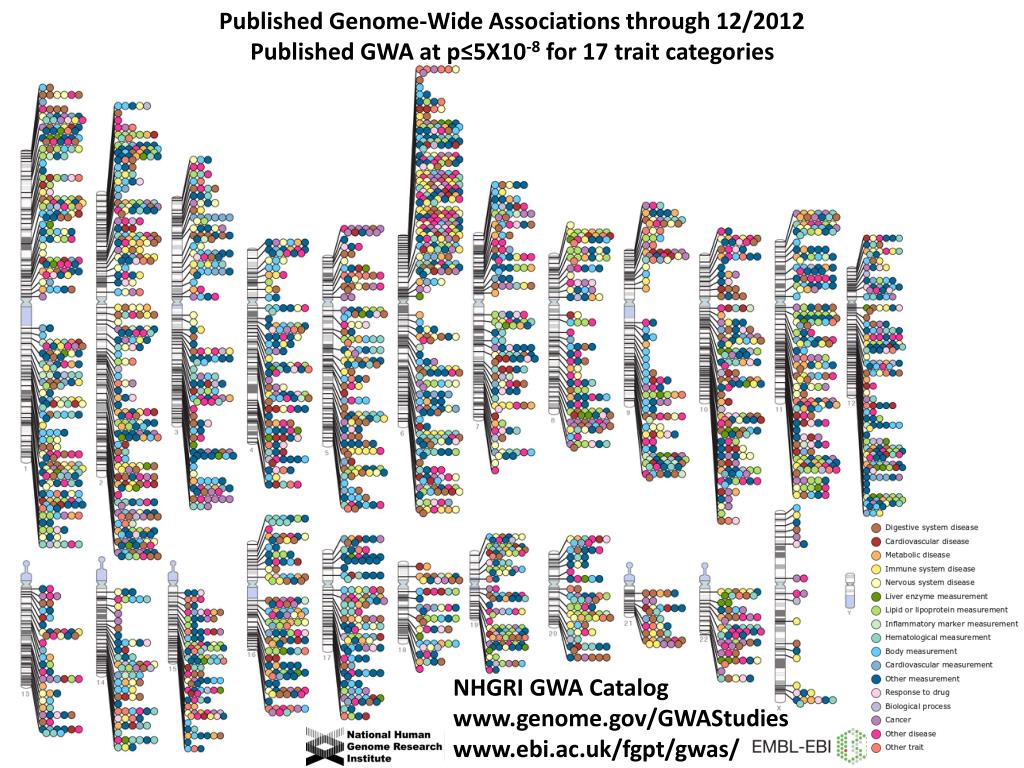 PPT - NHGRI GWA Catalog www.genome.gov/GWAStudies www.ebi.ac.uk/fgpt ...