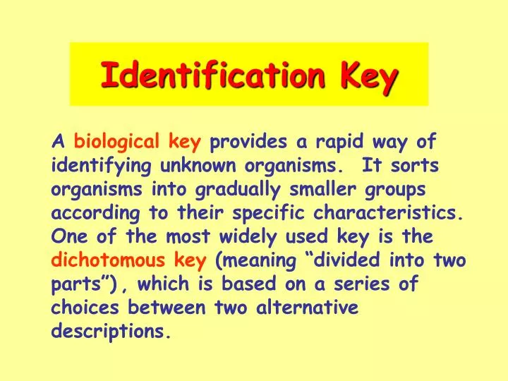 PPT - Identification Key PowerPoint Presentation, free download - ID ...