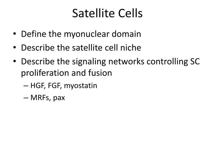 PPT - Satellite Cells PowerPoint Presentation, free download - ID:1807024