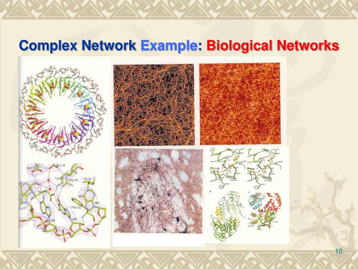 PPT - Complex Dynamical Networks : Modeling , Control and ...