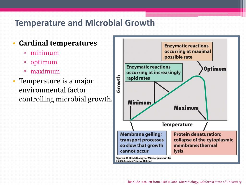 PPT - Environmental Microbiology -Laboratory Manual- prepared for ...