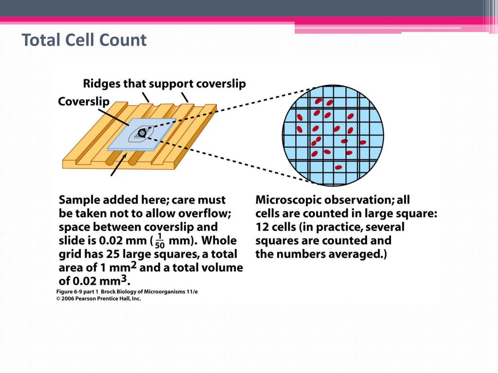 PPT - Environmental Microbiology -Laboratory Manual- prepared for ...