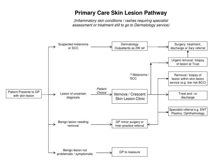 PPT - Patient Presents to GP with skin lesion PowerPoint Presentation ...