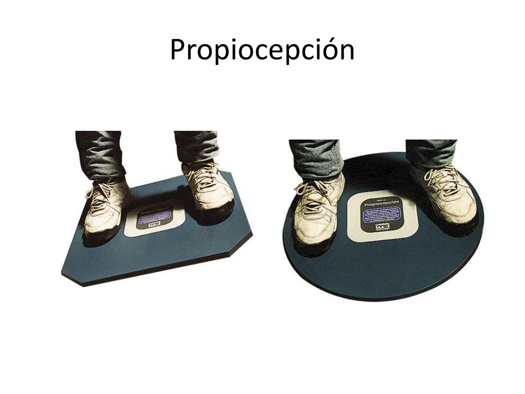 PPT - Lesiones tendinosas y musculares PowerPoint Presentation, free download - ID:1811174