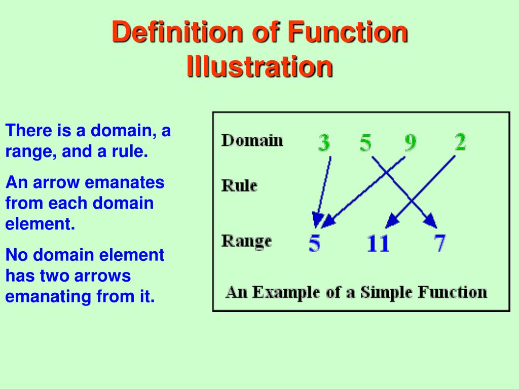 Definition Function And Types Of Styloid Processes You Must Know | My ... Definition Function And Types Of Styloid Processes You Must Know | My ...