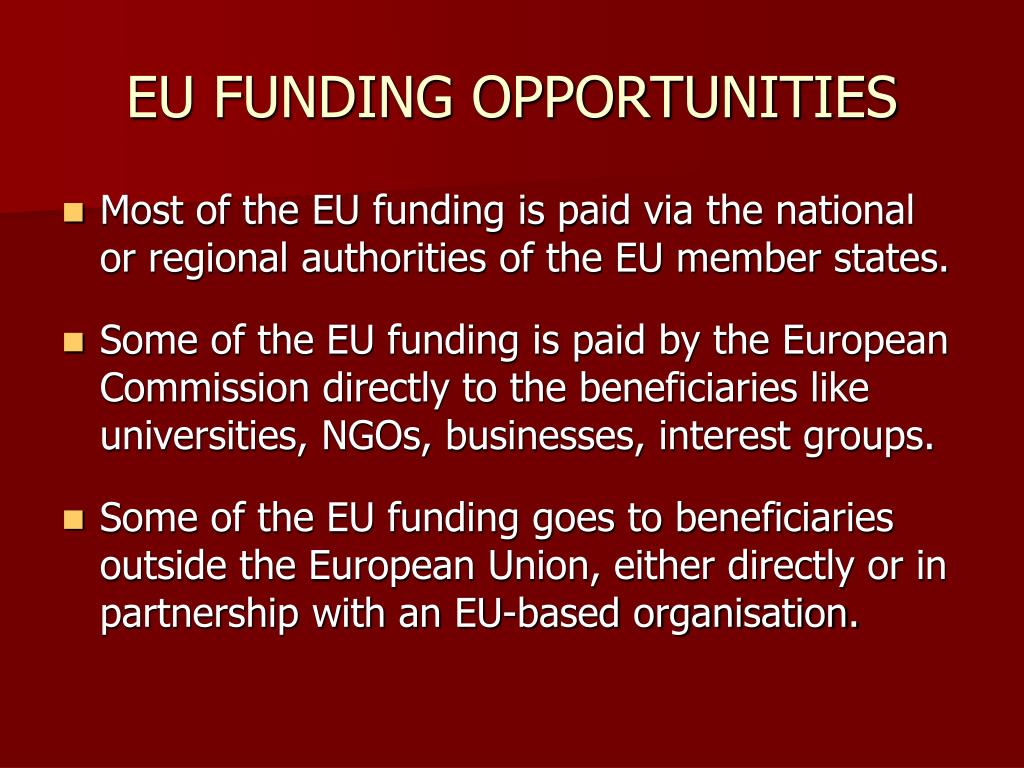 PPT - EU FUNDING OPPORTUNITIES for DISABILITY NGOs PowerPoint ...
