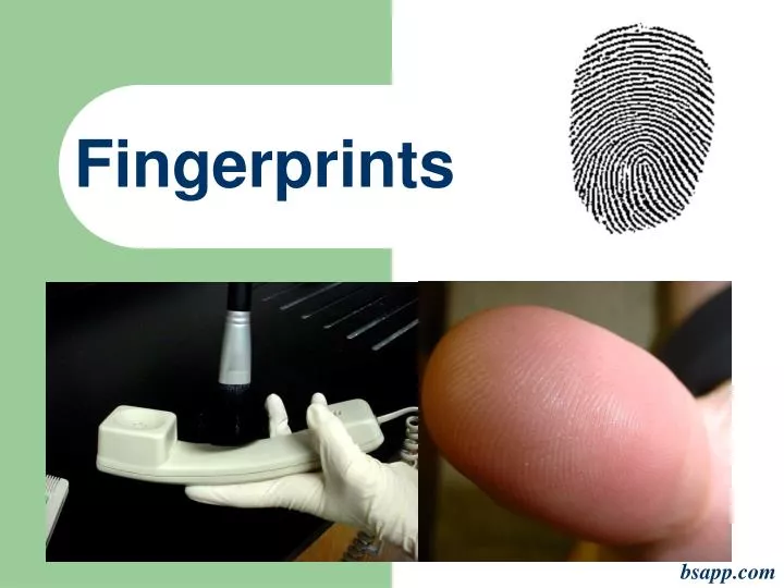 PPT - Fingerprints PowerPoint Presentation, free download - ID:1813286
