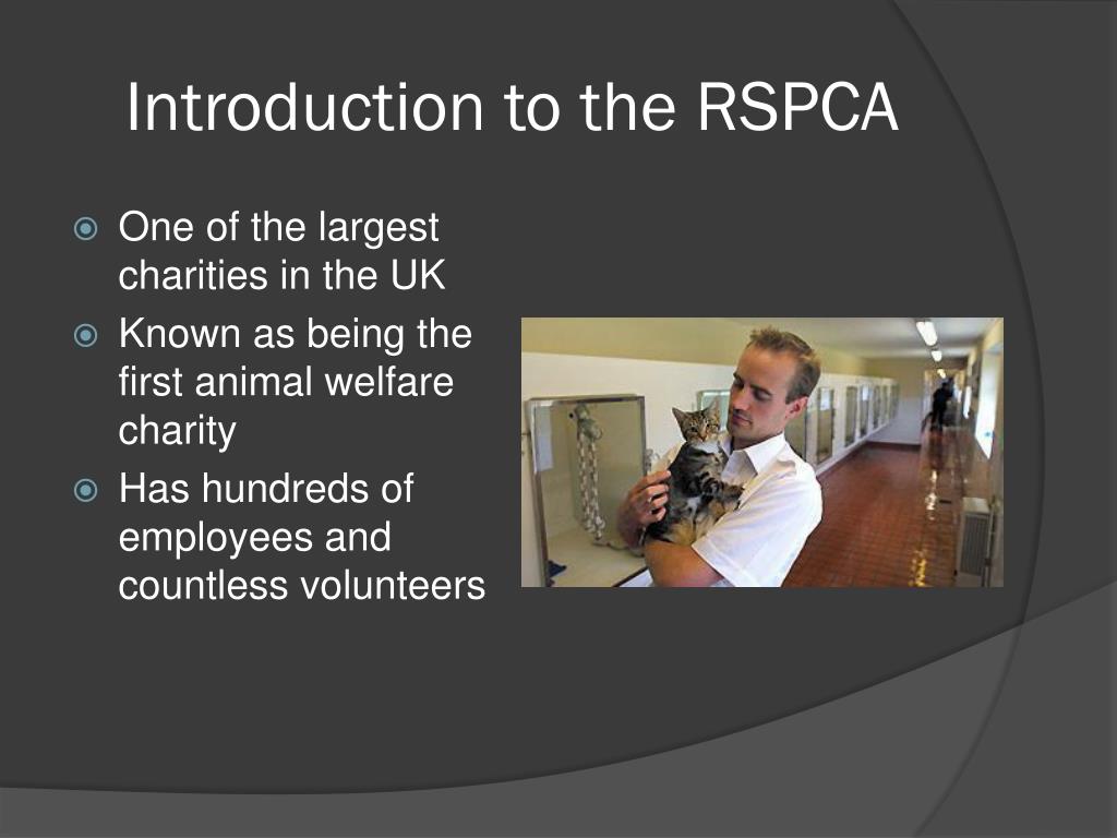 PPT - The Royal Society for the Prevention of Cruelty to Animals ...