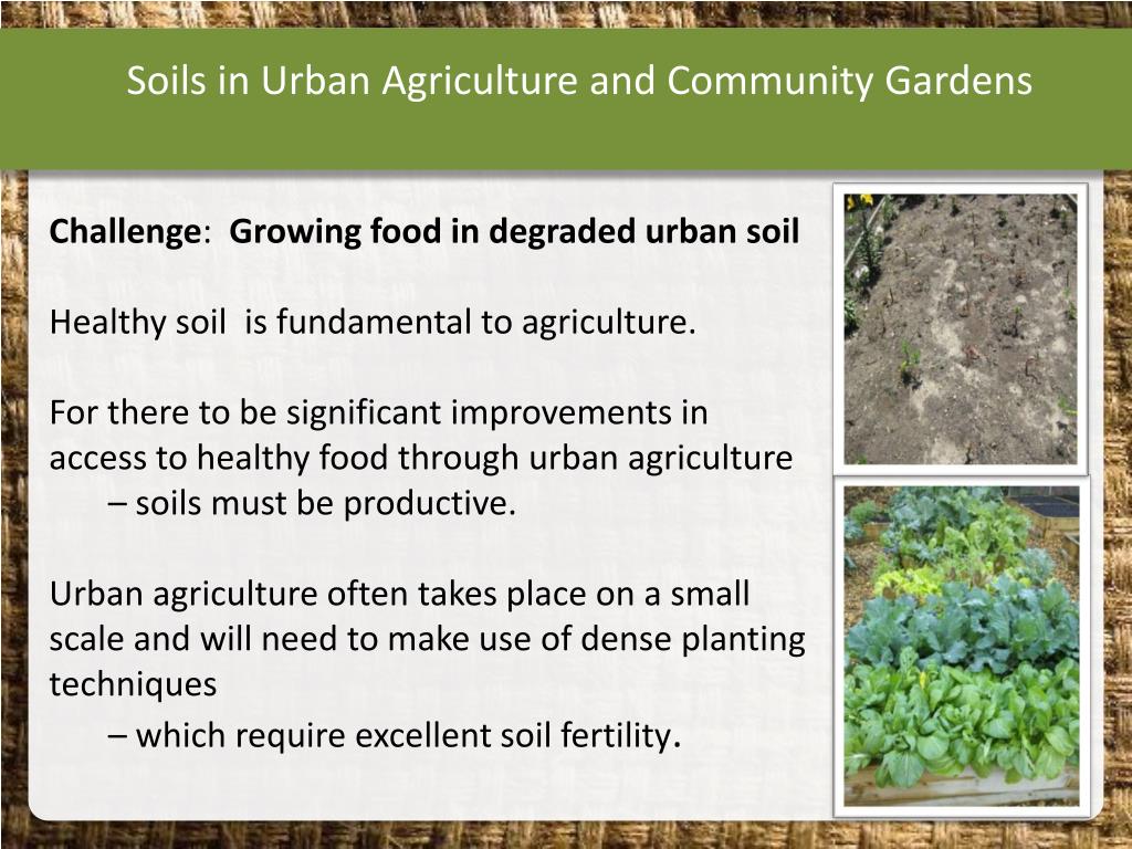 PPT - Soils in Urban Agriculture and Community Gardens PowerPoint ...