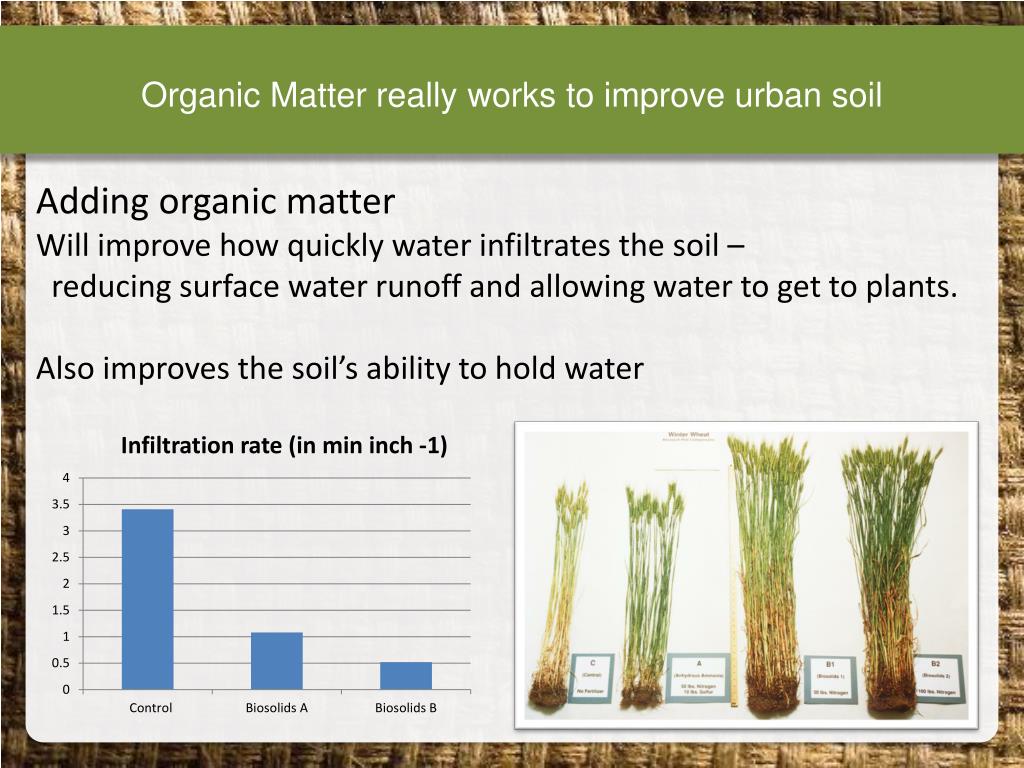 PPT - Soils in Urban Agriculture and Community Gardens PowerPoint ...
