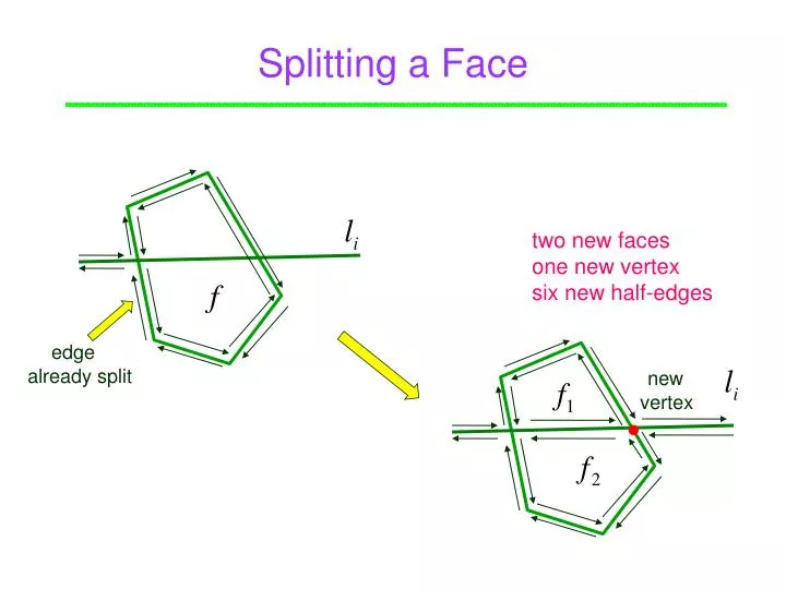 PPT - Splitting a Face PowerPoint Presentation, free download - ID:1815432