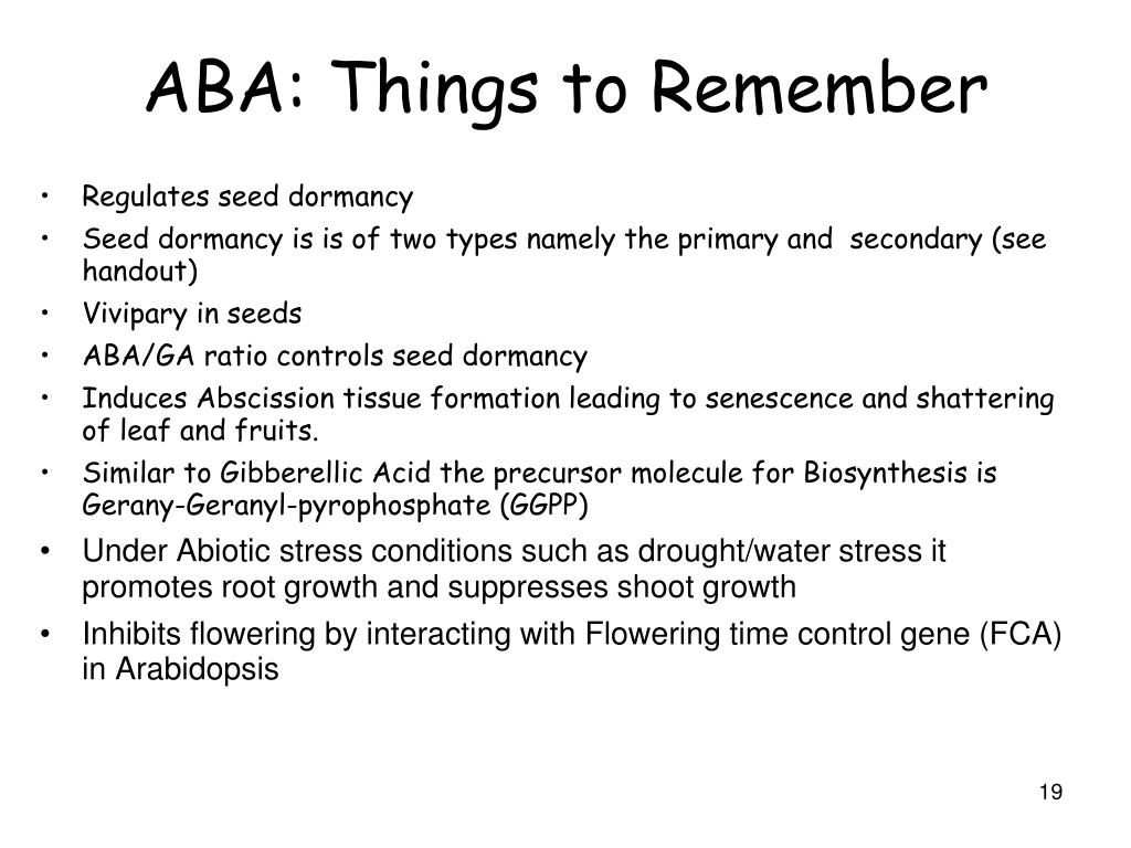 PPT - Growth Hormones Ethylene and Abscisic Acid Plant Physiology 751 ...