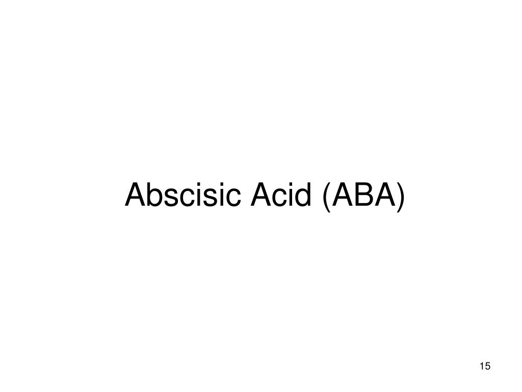 PPT - Growth Hormones Ethylene and Abscisic Acid Plant Physiology 751 ...