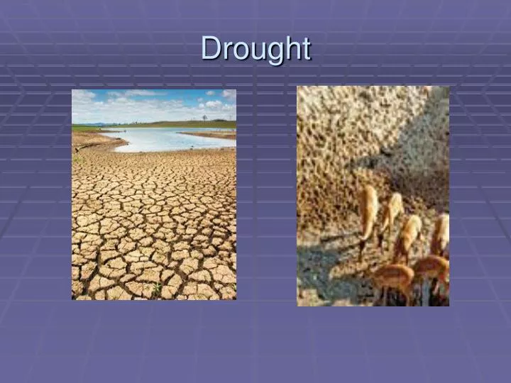 PPT - Drought PowerPoint Presentation, free download - ID:1816450
