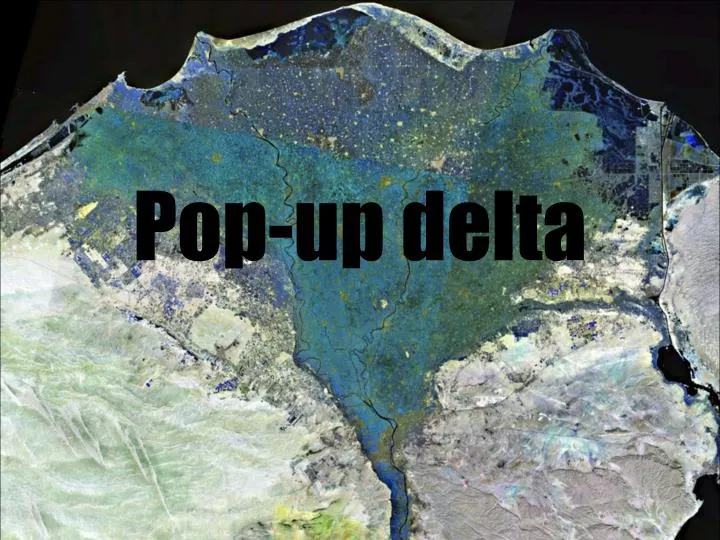 PPT - Pop-up delta PowerPoint Presentation, free download - ID:1817098