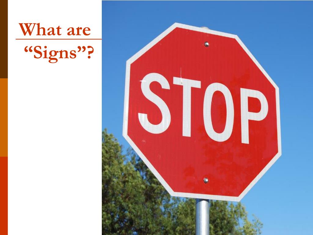 PPT - The Gospel according to John Signs & Believing PowerPoint ...