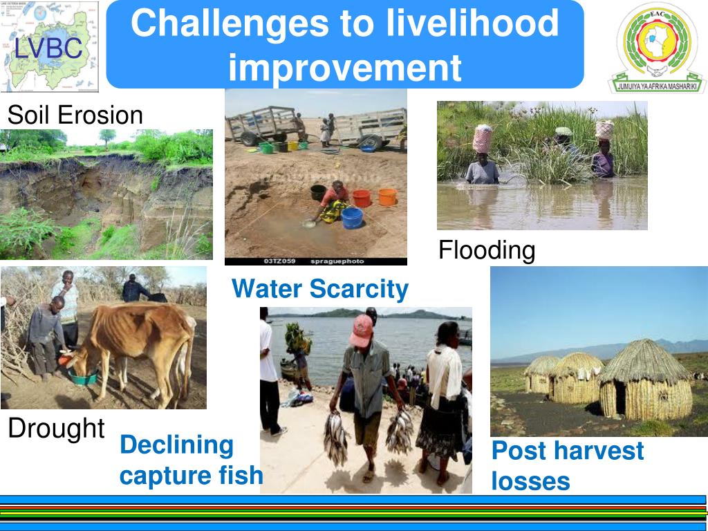PPT - 3 RD LAKE VICTORIA BASIN DONORS’ CONFERENCE PowerPoint ...