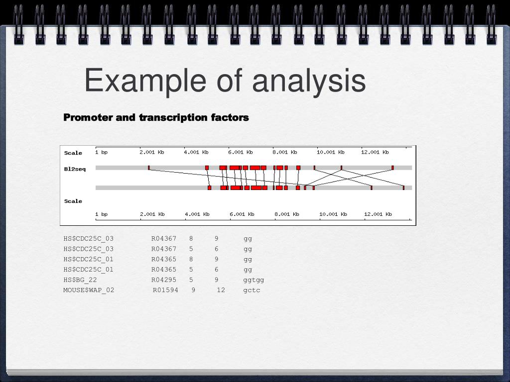 PPT - The Biology of Mammalian Promoters PowerPoint Presentation, free ...