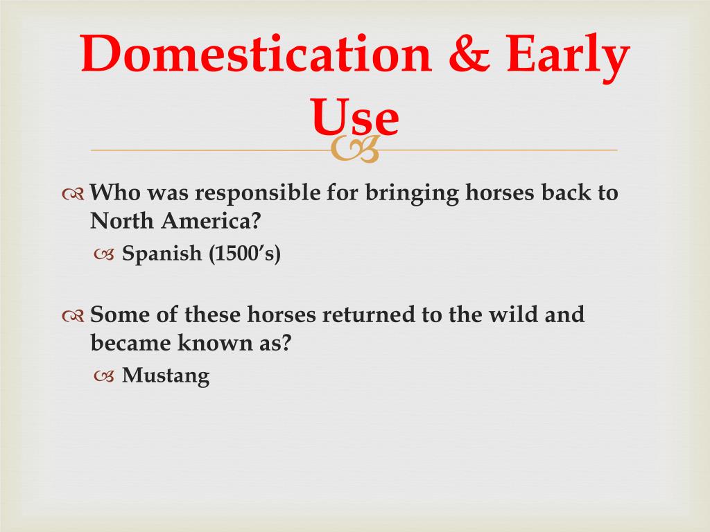 PPT - Horse Industry History and Economic Impact PowerPoint ...