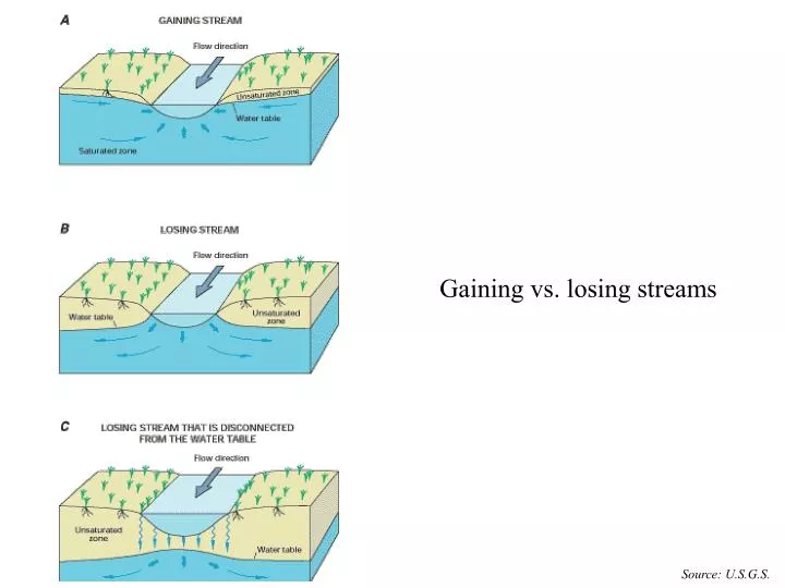 PPT - Gaining vs. losing streams PowerPoint Presentation - ID:1819075