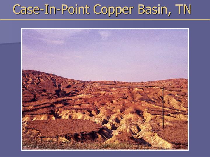 PPT - Chapter 16 Mineral Resources PowerPoint Presentation - ID:1820507