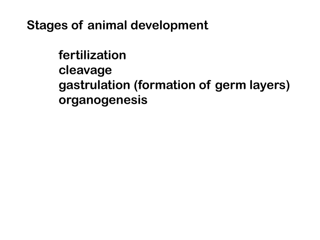 PPT - Animal gametogenesis and embryology (chapters 25, 32, 47) What is ...