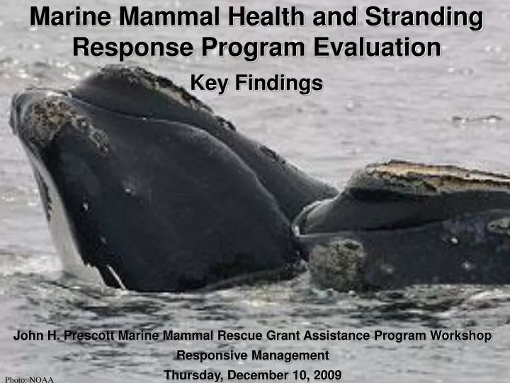 PPT - Marine Mammal Health and Stranding Response Program Evaluation ...