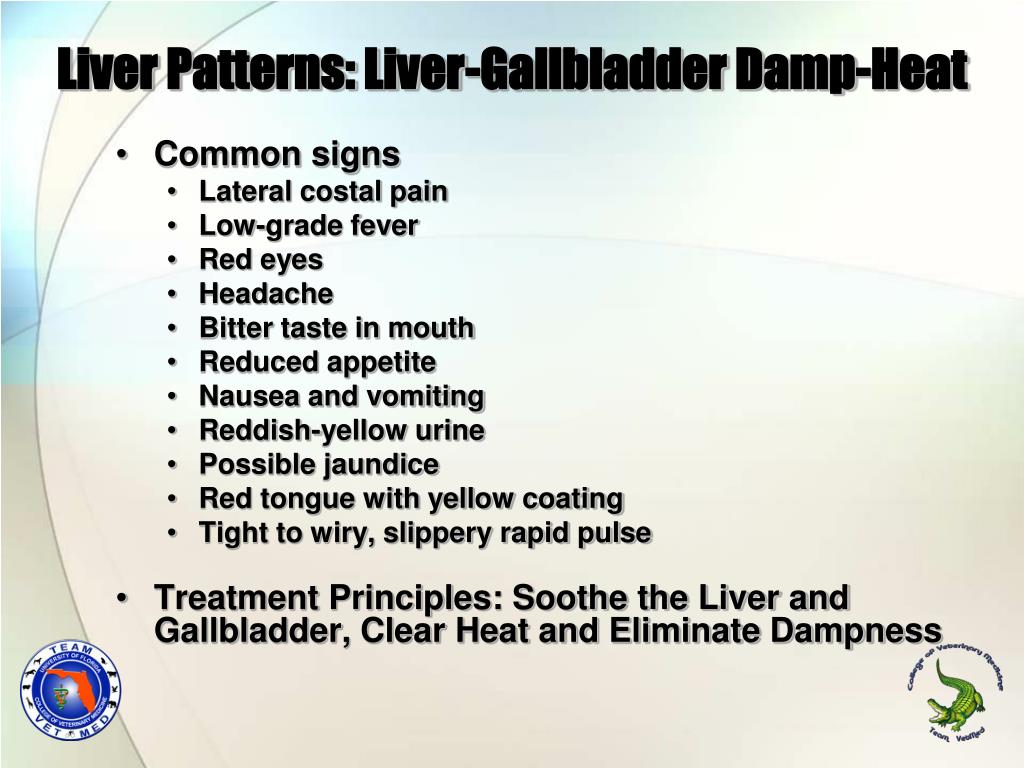 PPT - How to Treat Liver Disease with TCVM Food Therapy PowerPoint ...